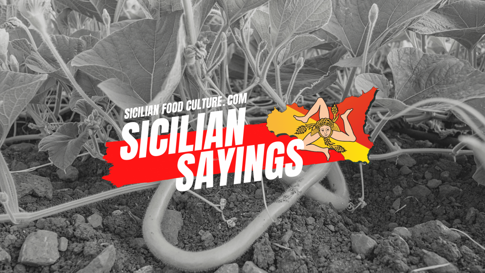 Sicilian Sayings Learning Sicilian Phrases: Italian Language School